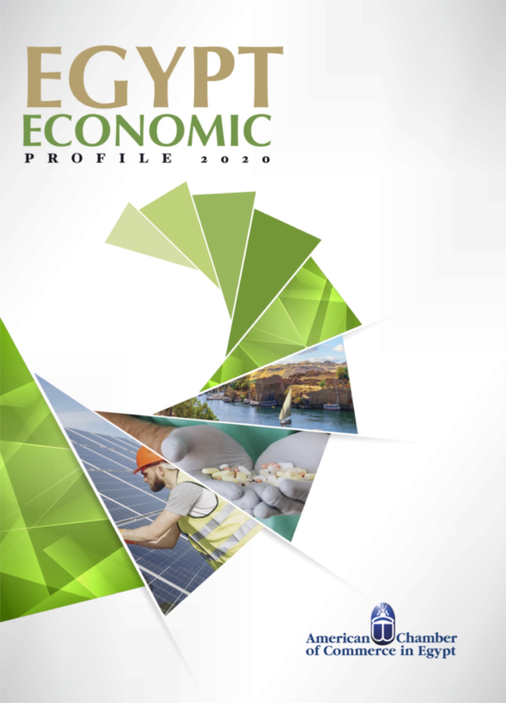 Egypt Economic Profile - July 2020 - Business Monthly